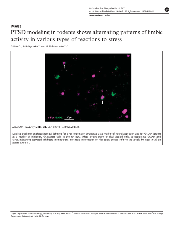 (PDF) PTSD modeling in rodents shows alternating patterns of limbic ...