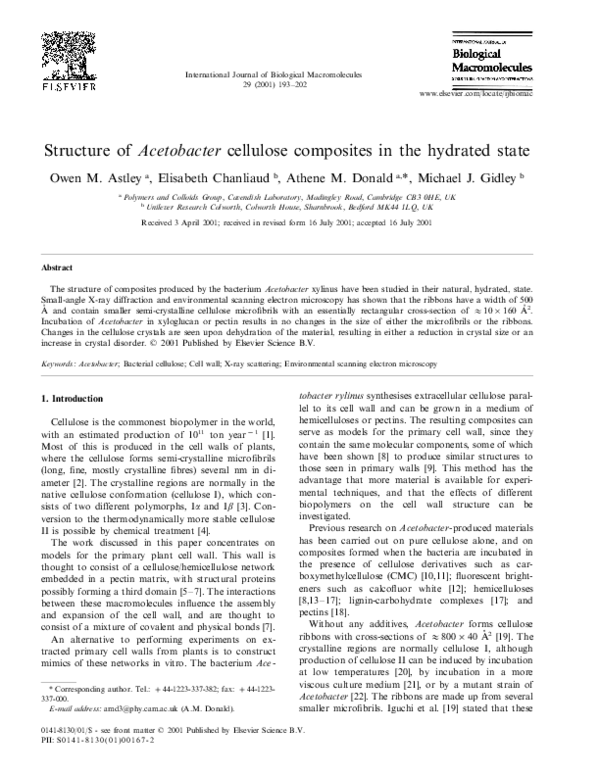 (PDF) Structure of Acetobacter cellulose composites in the hydrated state