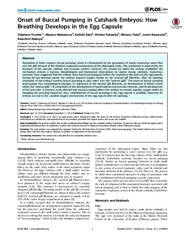 (PDF) Onset of Buccal Pumping in Catshark Embryos: How Breathing ...