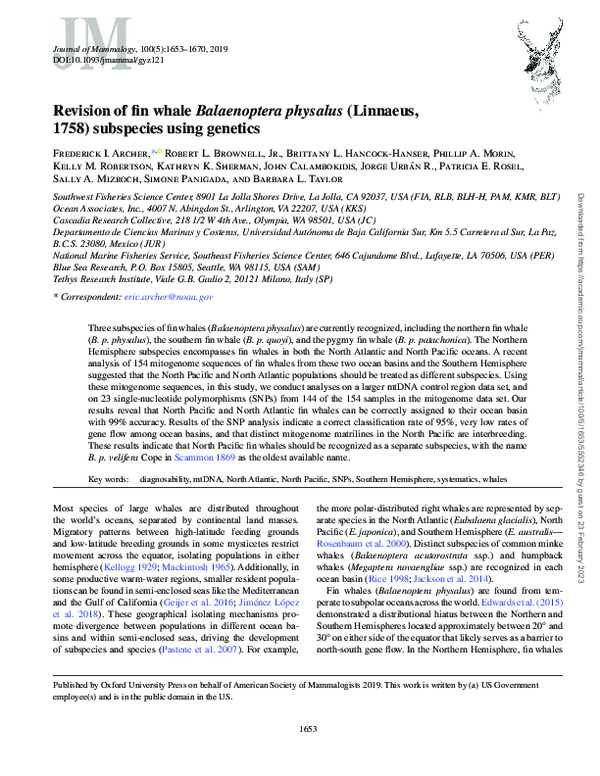 (PDF) Revision of fin whale Balaenoptera physalus (Linnaeus, 1758 ...