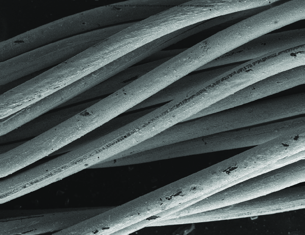 (PDF) SensorKnit: Architecting Textile Sensors with Machine Knitting