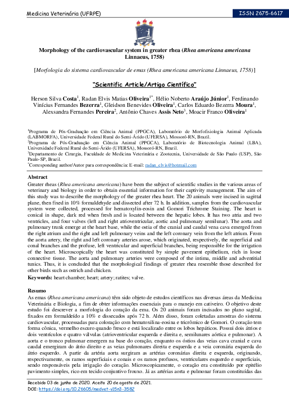 (PDF) Morphology of the cardiovascular system in greater rhea (Rhea ...