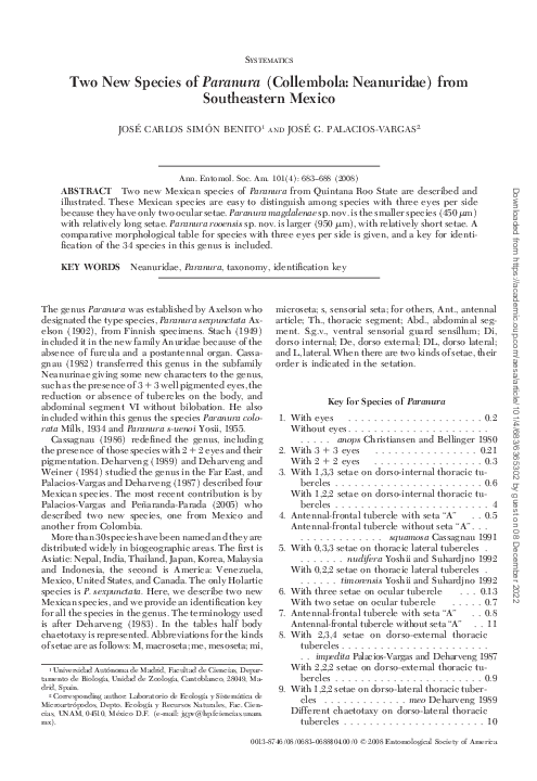 (PDF) Two New Species of Paranura (Collembola: Neanuridae) from ...