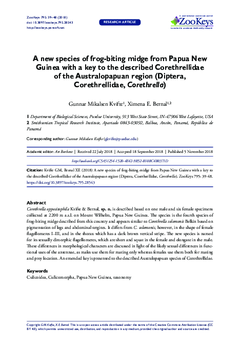 (PDF) A new species of frog-biting midge from Papua New Guinea with a ...
