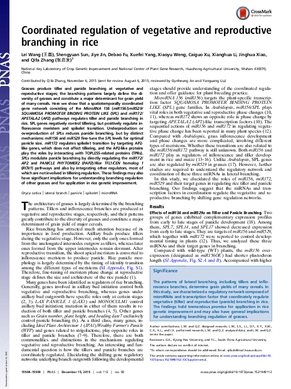 (PDF) Coordinated regulation of vegetative and reproductive branching ...