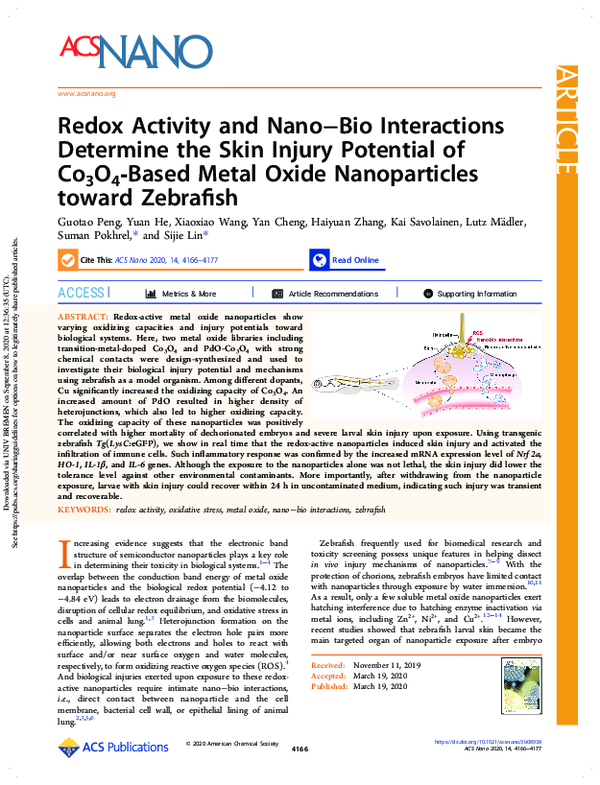 (PDF) RedoxActivity and Nano–Bio Interactions Determinethe Skin Injury ...