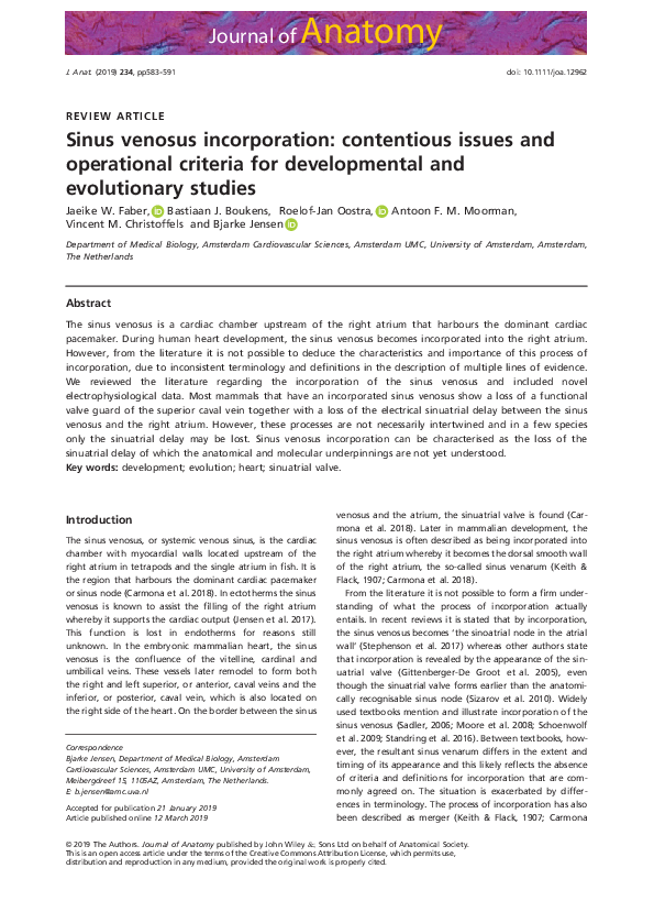 (PDF) Sinus venosus incorporation: contentious issues and operational ...