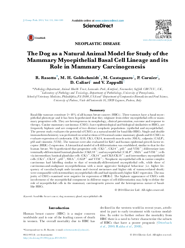 (PDF) The Dog as a Natural Animal Model for Study of the Mammary ...