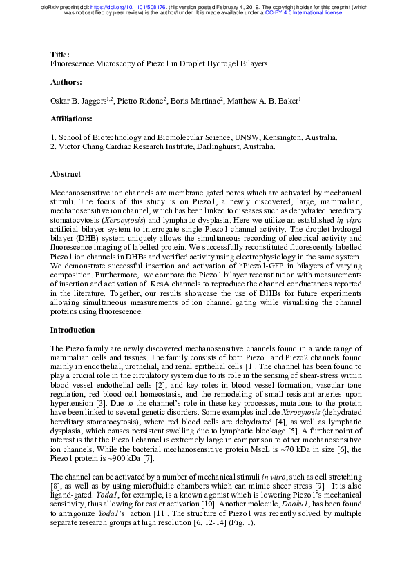 (PDF) Fluorescence Microscopy of Piezo1 in Droplet Hydrogel Bilayers ...