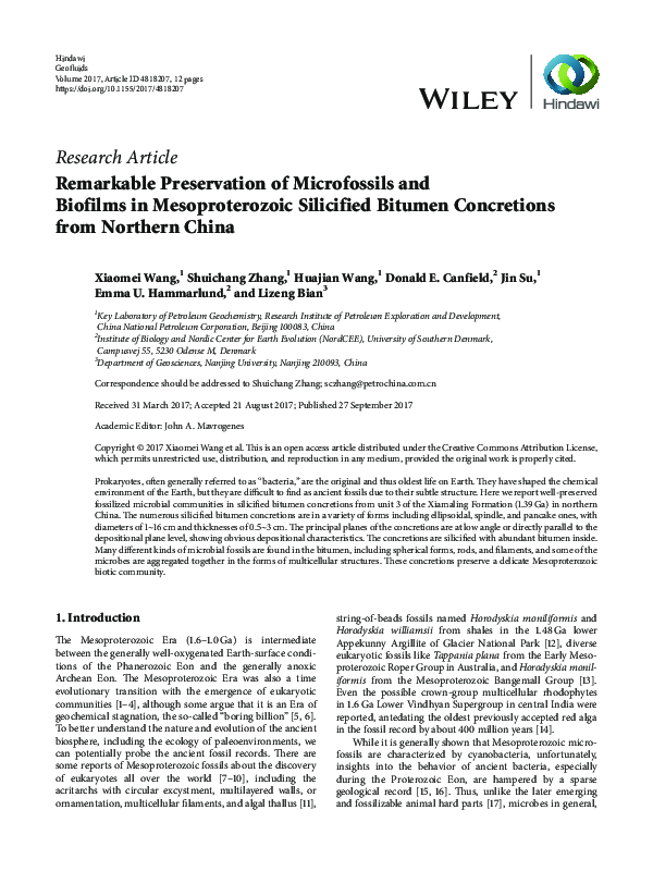 (PDF) Remarkable Preservation of Microfossils and Biofilms in ...