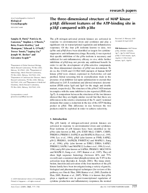(PDF) The three-dimensional structure of MAP kinase p38β: different ...