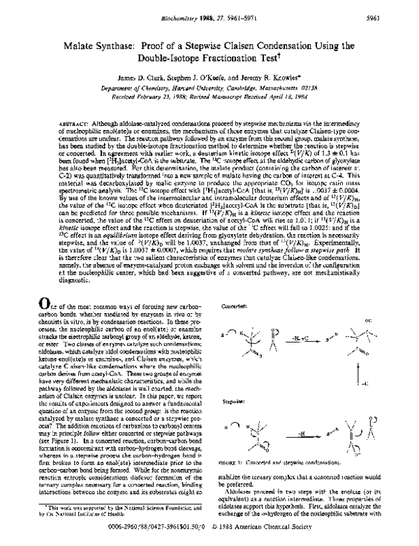 (PDF) Malate synthase: proof of a stepwise Claisen condensation using ...