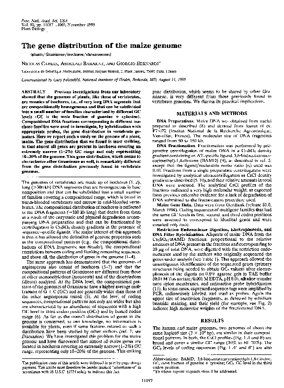 (PDF) The gene distribution of the maize genome