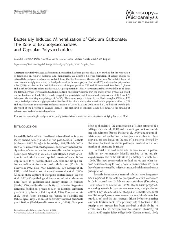 (PDF) Bacterially Induced Mineralization of Calcium Carbonate: The Role ...