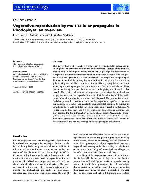 Vegetative reproduction by multicellular propagules in Rhodophyta: an ...