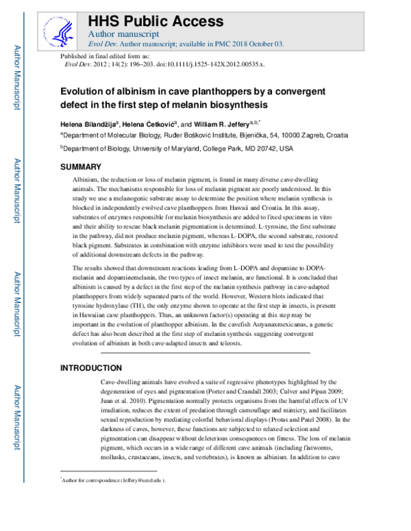 (PDF) Evolution of albinism in cave planthoppers by a convergent defect ...