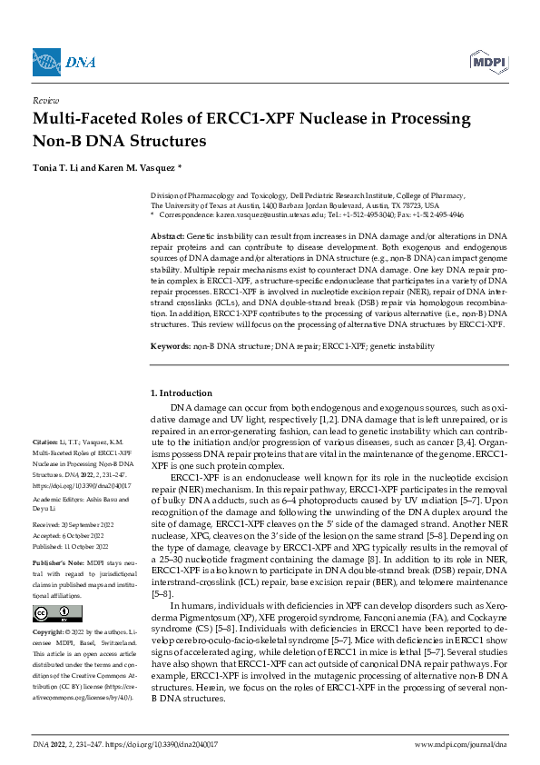 (PDF) Multi-Faceted Roles of ERCC1-XPF Nuclease in Processing Non-B DNA Structures