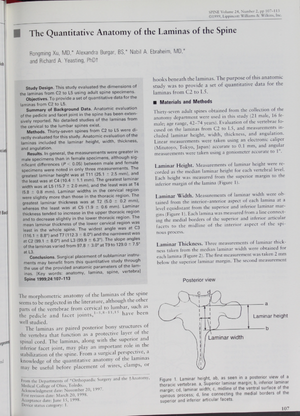 (PDF) The Quantitative Anatomy of the Laminas of the Spine