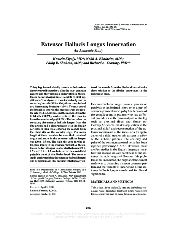 (PDF) Extensor Hallucis Longus Innervation