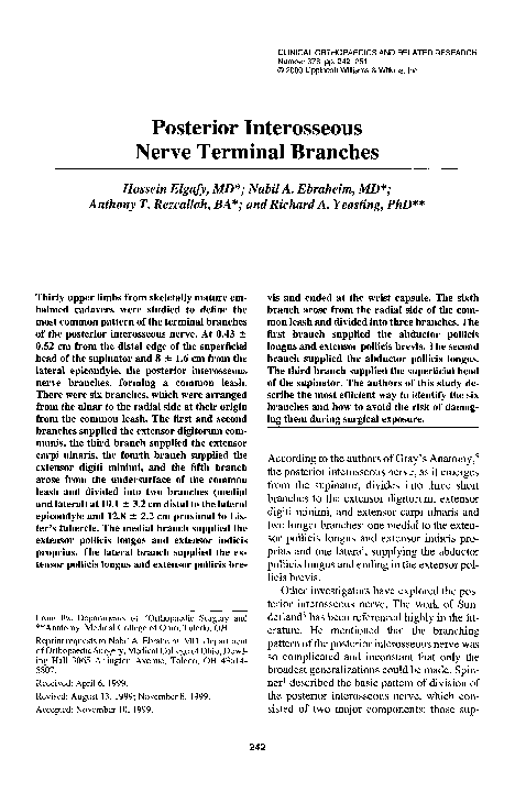 (PDF) Posterior Interosseous Nerve Terminal Branches