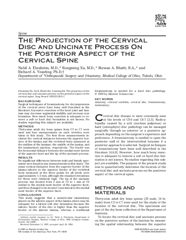 (PDF) The projection of the cervical disc and uncinate process on the ...