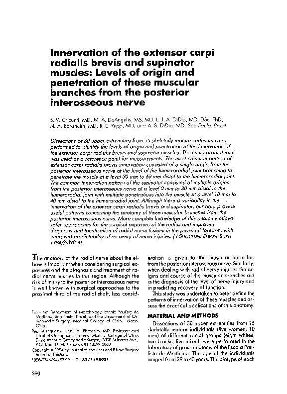 (PDF) Innervation of the extensor carpi radialis brevis and supinator ...