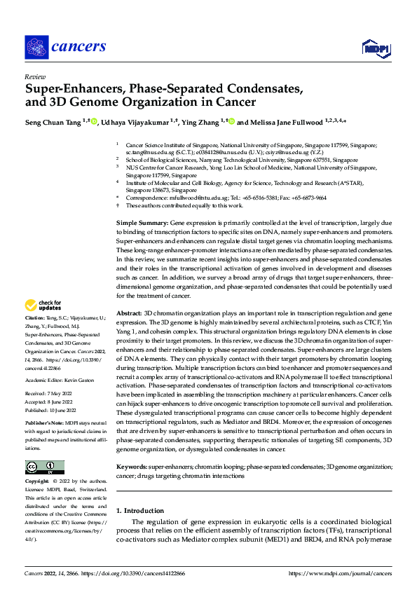 (PDF) Super-Enhancers, Phase-Separated Condensates, and 3D Genome ...