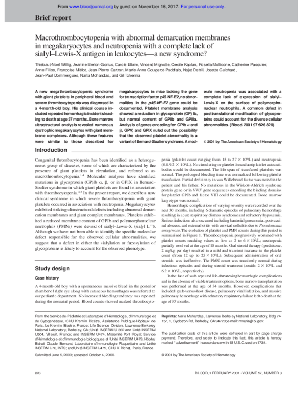 (PDF) Macrothrombocytopenia with abnormal demarcation membranes in ...