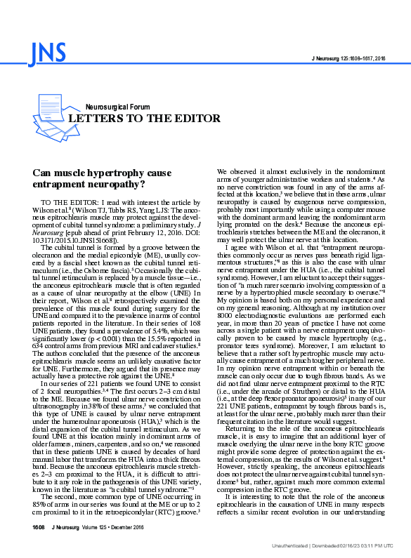 (PDF) Letter to the Editor: Can muscle hypertrophy cause entrapment ...