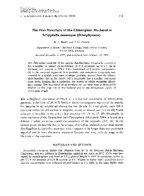 (PDF) The fine structure of the chloroplast nucleoid in Scrippsiella ...