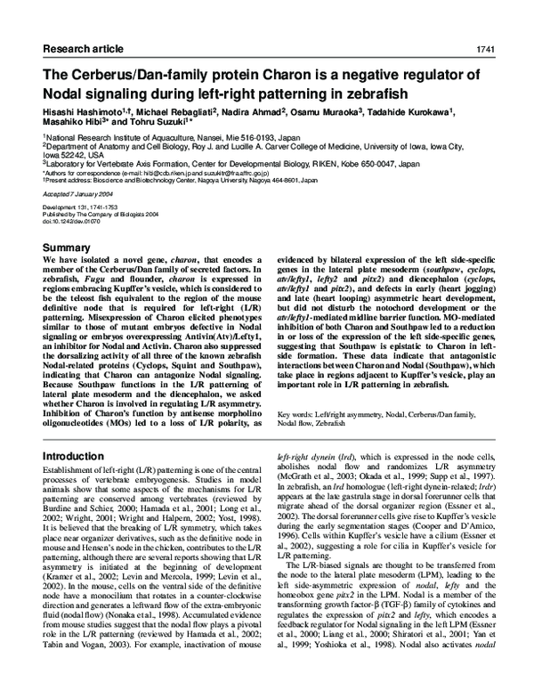 (PDF) The Cerberus/Dan-family protein Charon is a negative regulator of ...