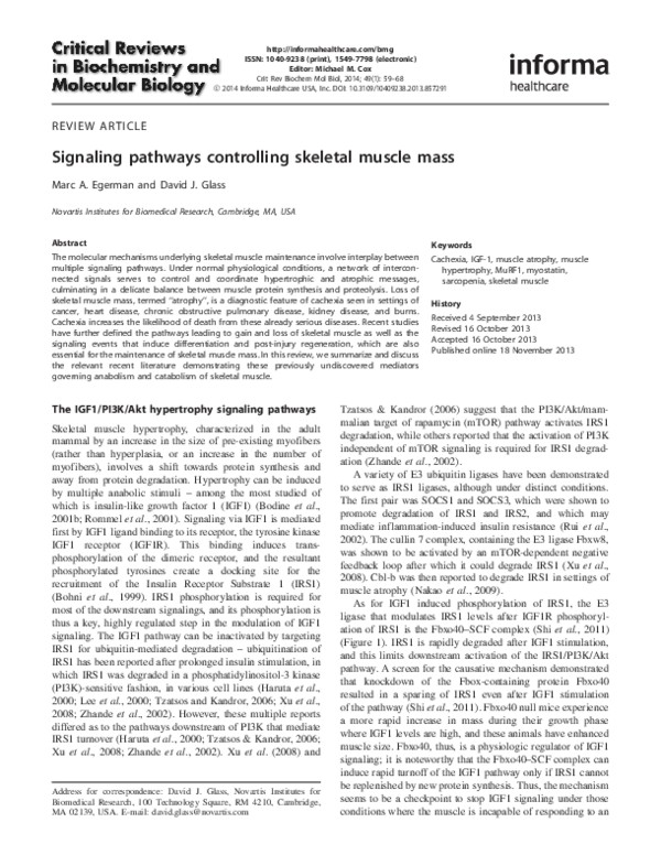 (PDF) Signaling pathways controlling skeletal muscle mass