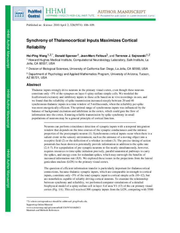 (PDF) Synchrony of Thalamocortical Inputs Maximizes Cortical Reliability