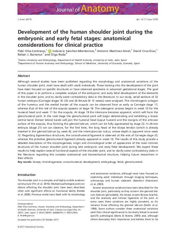 (PDF) Development of the human shoulder joint during the embryonic and ...