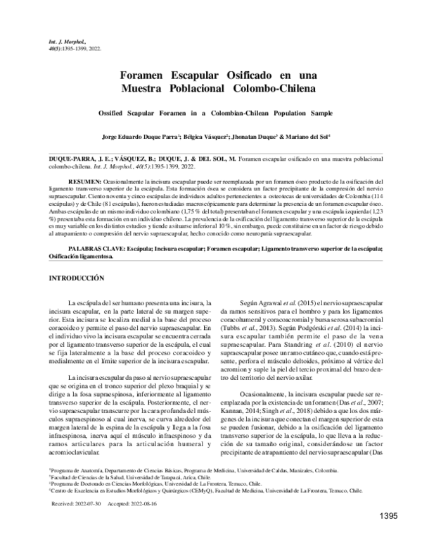 (PDF) Foramen Escapular Osificado en una Muestra Poblacional Colombo ...