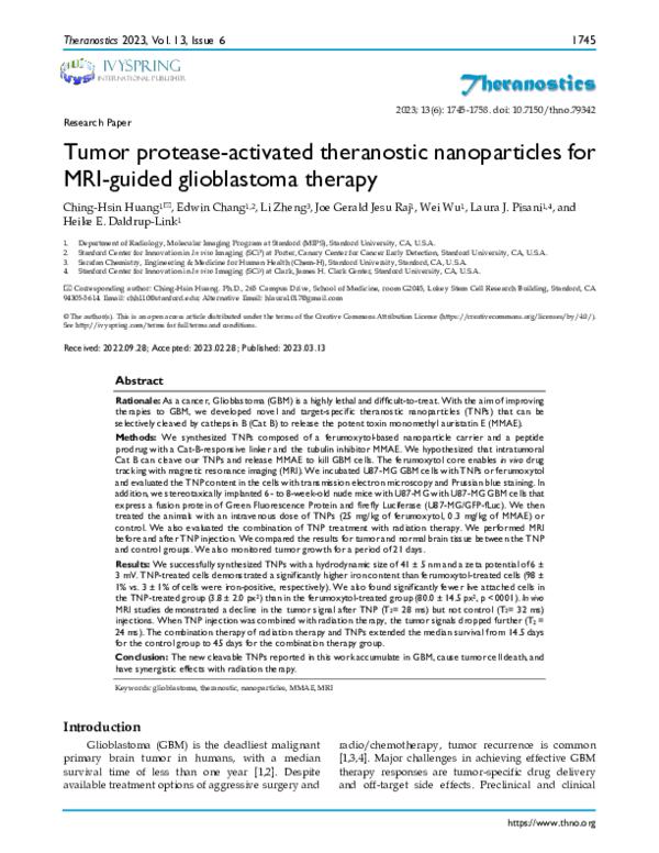 (PDF) Theranostic Nanoparticles for MRI-guided Glioblastoma Therapy