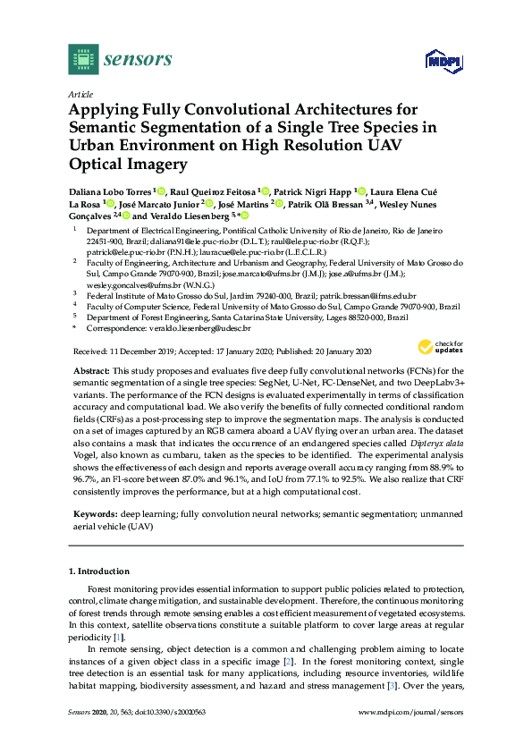 (PDF) Semantic Segmentation of Dipteryx alata Using FCNs