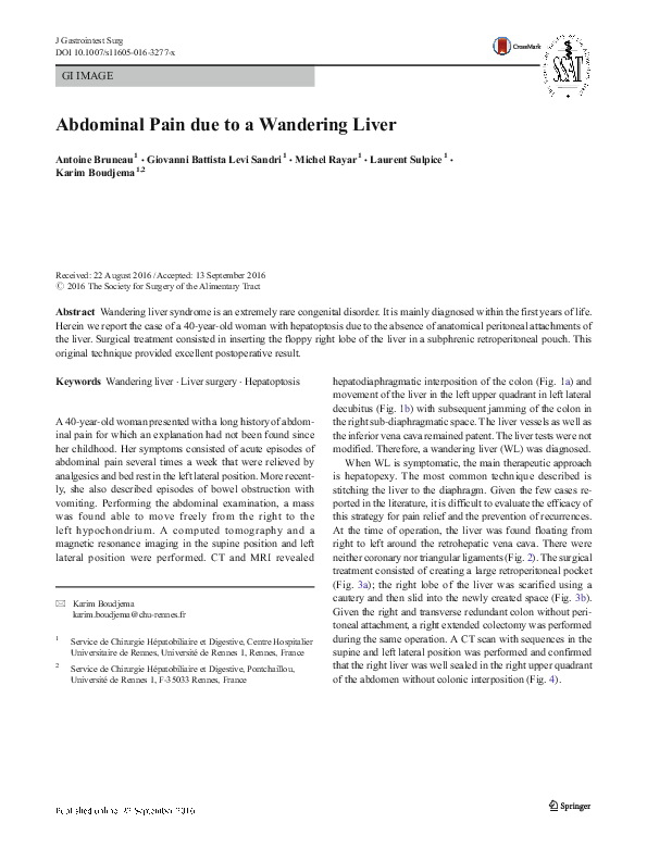 (PDF) Abdominal Pain due to a Wandering Liver