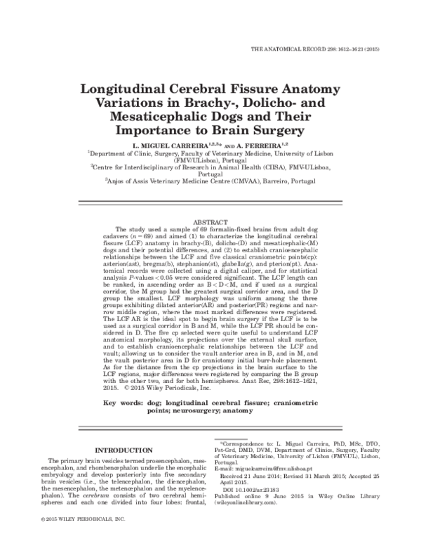(PDF) Longitudinal Cerebral Fissure Anatomy Variations in Brachy ...