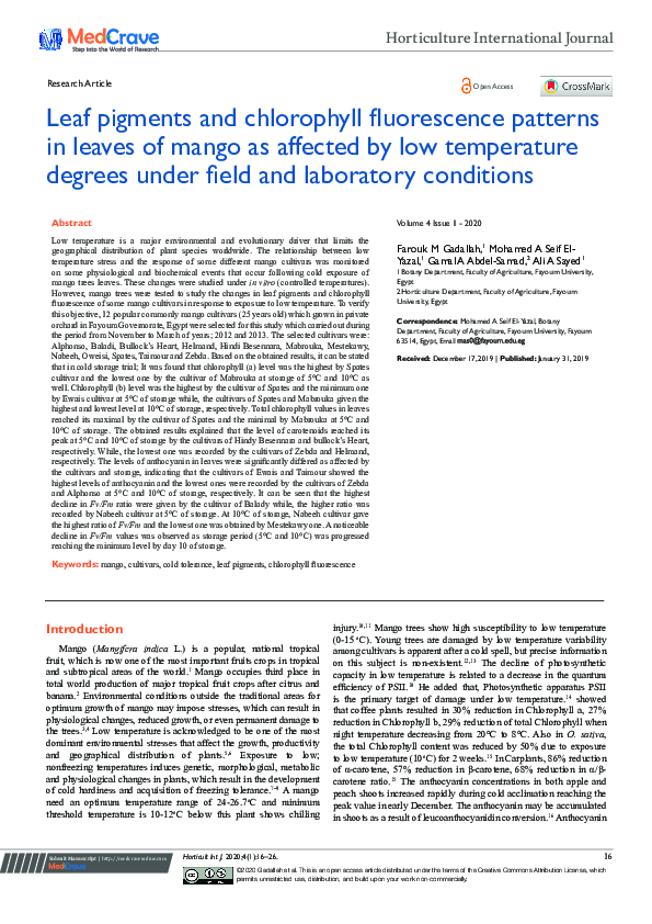 (PDF) Leaf pigments and chlorophyll fluorescence patterns in leaves of ...