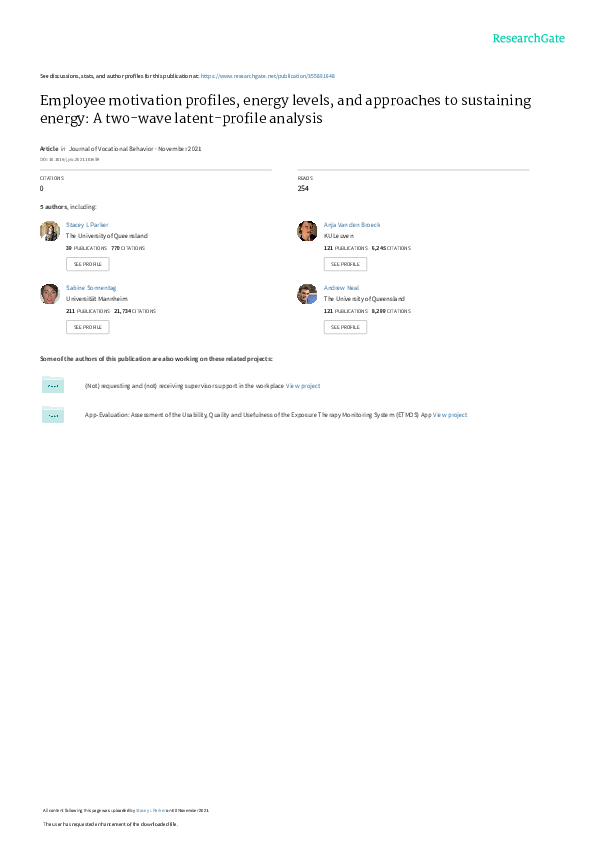 (PDF) Employee motivation profiles, energy levels, and approaches to ...