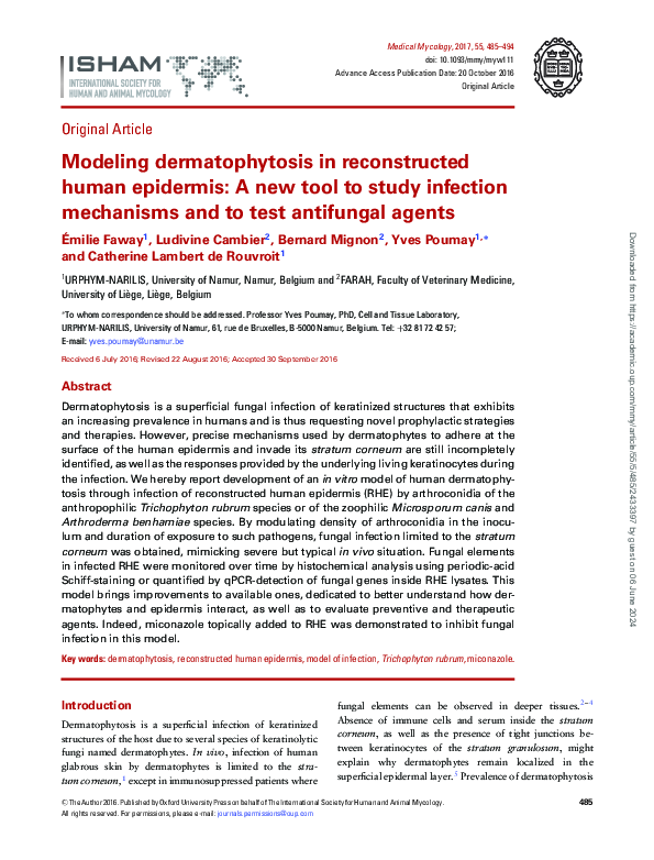 (PDF) Modeling dermatophytosis in reconstructed human epidermis: A new ...