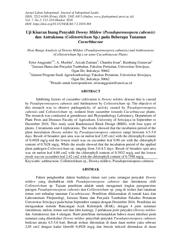 (PDF) Uji Kisaran Inang Penyakit Downy Mildew (Pseudoperonospora ...