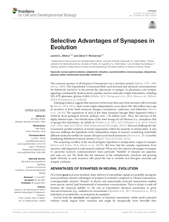 (PDF) Selective Advantages of Synapses in Evolution | Leonid Moroz ...