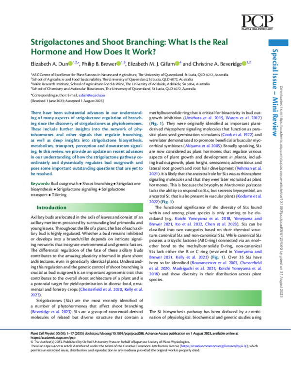 (PDF) Strigolactones and Shoot Branching: What Is the Real Hormone and How Does It Work?
