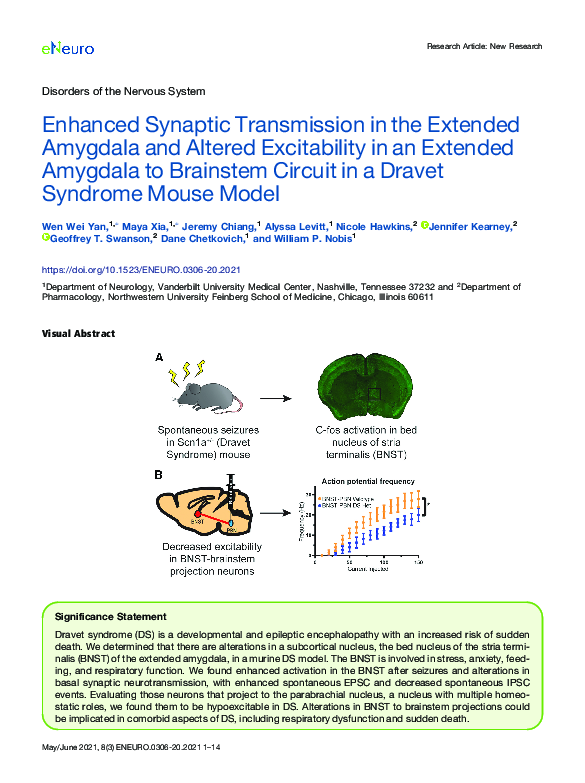 (PDF) Enhanced synaptic transmission in the extended amygdala and ...