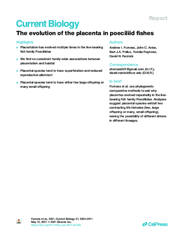 (PDF) The evolution of the placenta in poeciliid fishes
