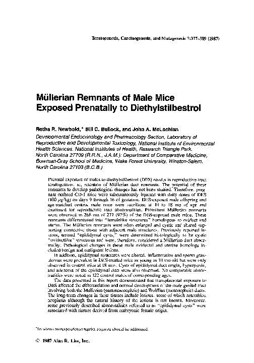 (PDF) Müllerian remnants of male mice exposed prenatally to ...