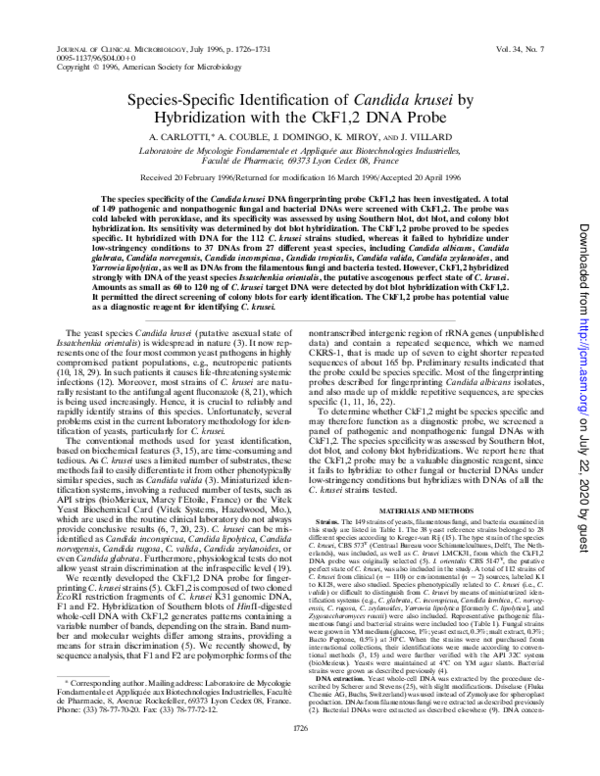 (PDF) Species-specific identification of Candida krusei by ...