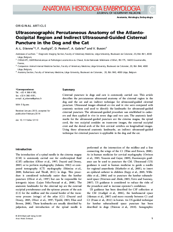 (PDF) Ultrasonographic Percutaneous Anatomy of the Atlanto-Occipital ...
